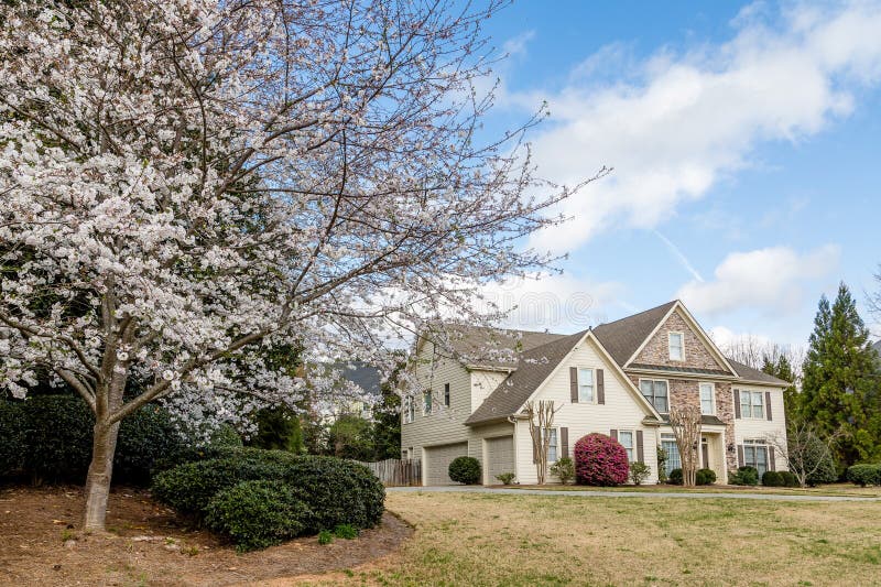 Cherry Tree by Stone and Siding House Stock Photo - Image of entrance ...