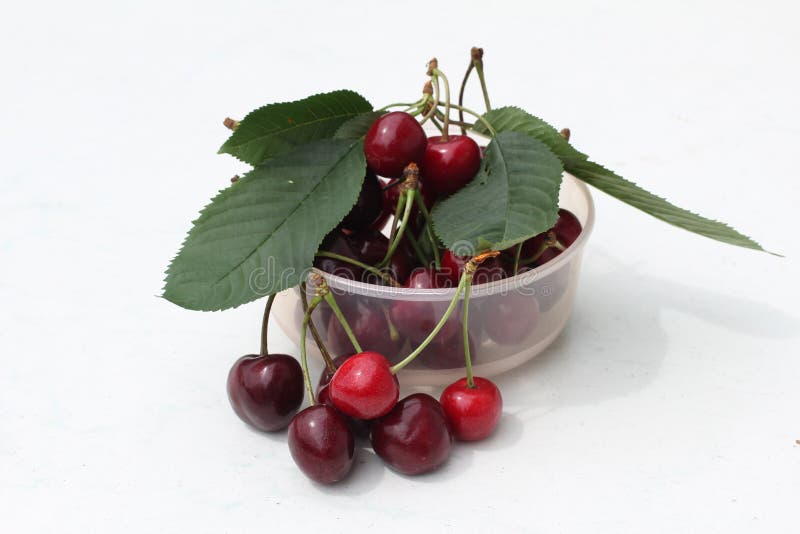 Cherry stock photo. Image of leaf, cerise, berry, countryside - 75176476