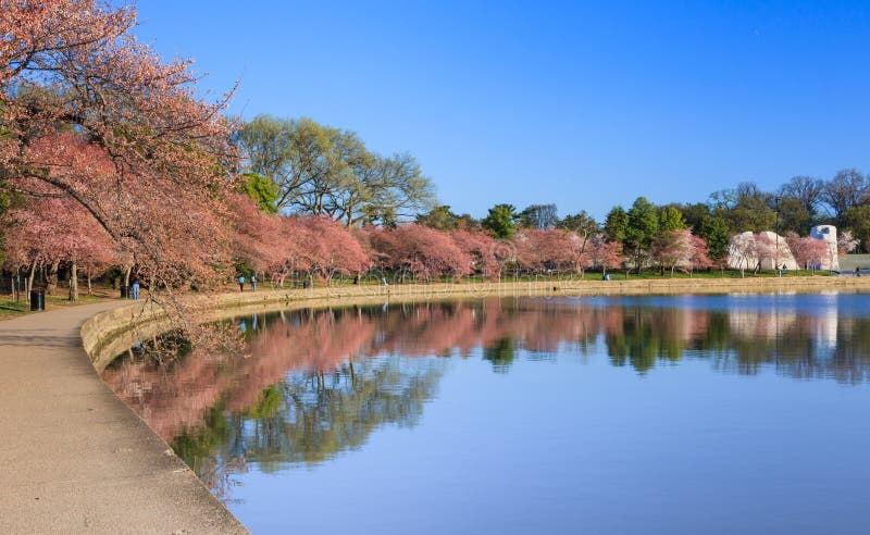 Washington DC Tidal Basin in Autumn Stock Photo - Image of water ...