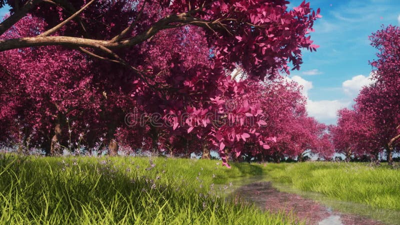 Cherry Trees Moved by Wind Landscape - Loop Nature Background Stock ...