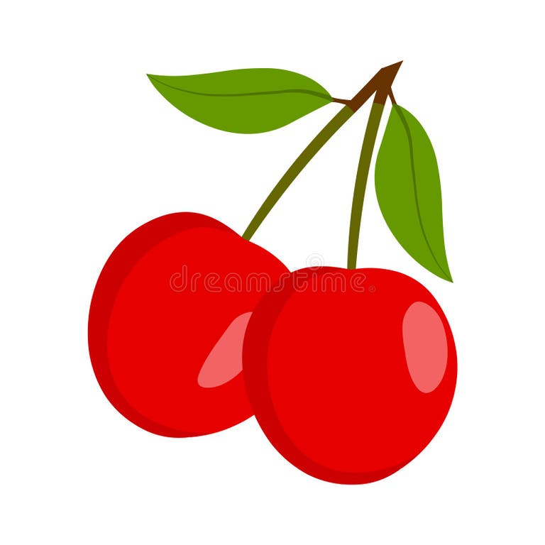 Cherry Vector.Fresh Cherry Illustration Stock Vector - Illustration of ...
