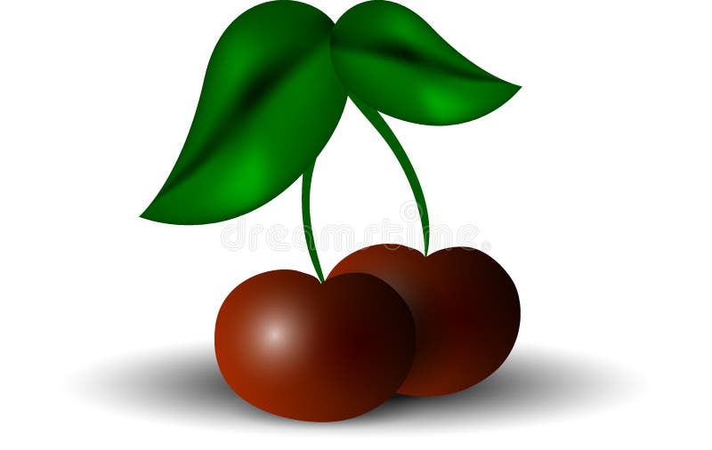 Cherry stock vector. Illustration of juicy, diet, food - 78353886