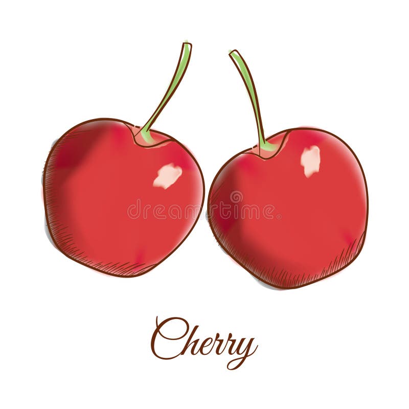 Cherry. Vector Illustration Decorative Design Stock Vector ...