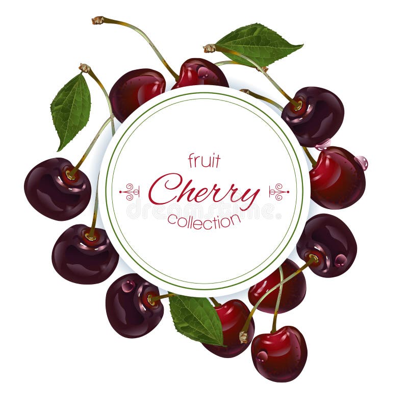 Cherry vertical banners stock vector. Illustration of frame - 93271387