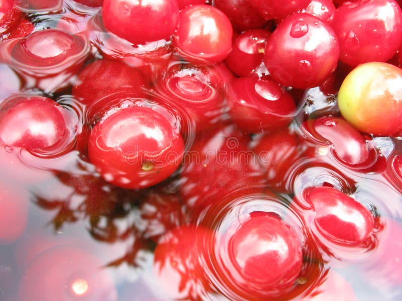 Cherry water stock vector. Illustration of delicious, reflected - 918069