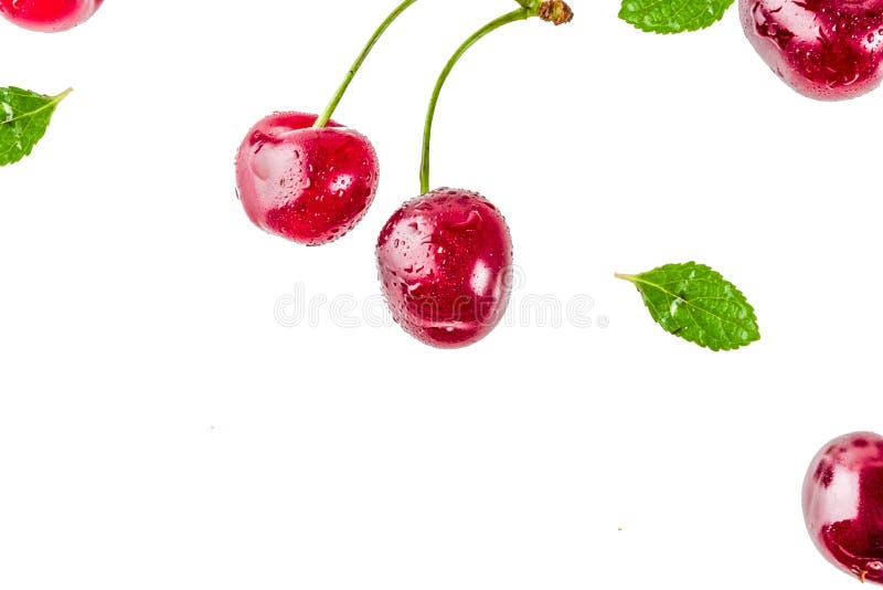 Cherry on white background stock photo. Image of green - 119086914