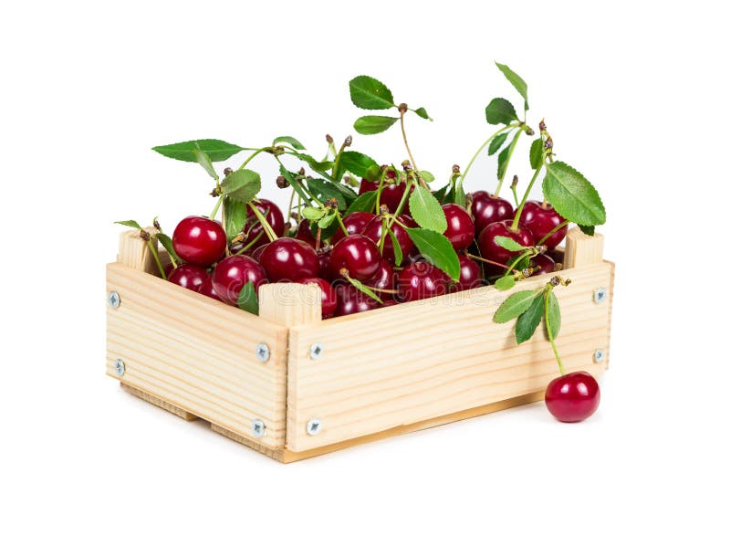Cherry in wooden box stock image. Image of gourmet, beautiful - 42032463