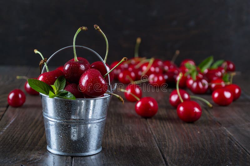 Cherrys in a Decorative Bucket Stock Photo - Image of chard, farm ...