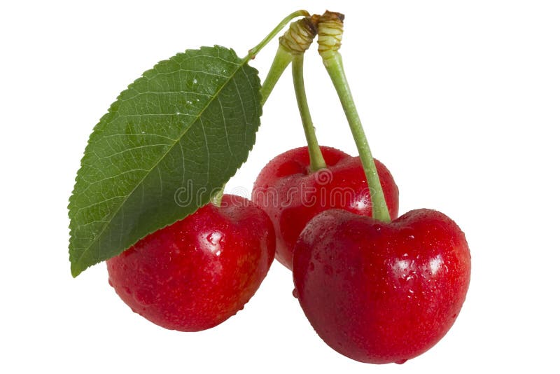 Cherrys imagen de archivo. Imagen de delicioso, rojo - 118092657