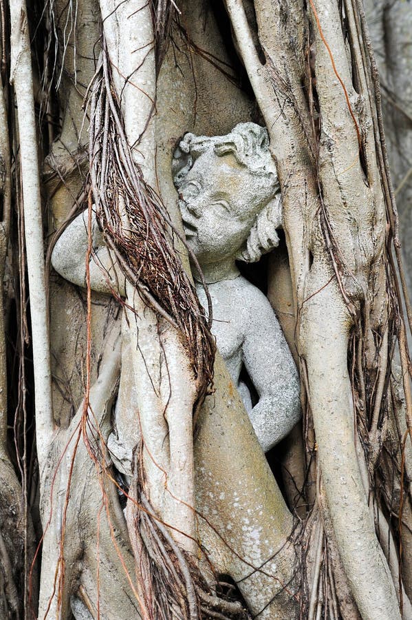 Cherub Enslaved stock image. Image of flora, ficus, mulberry - 44165587