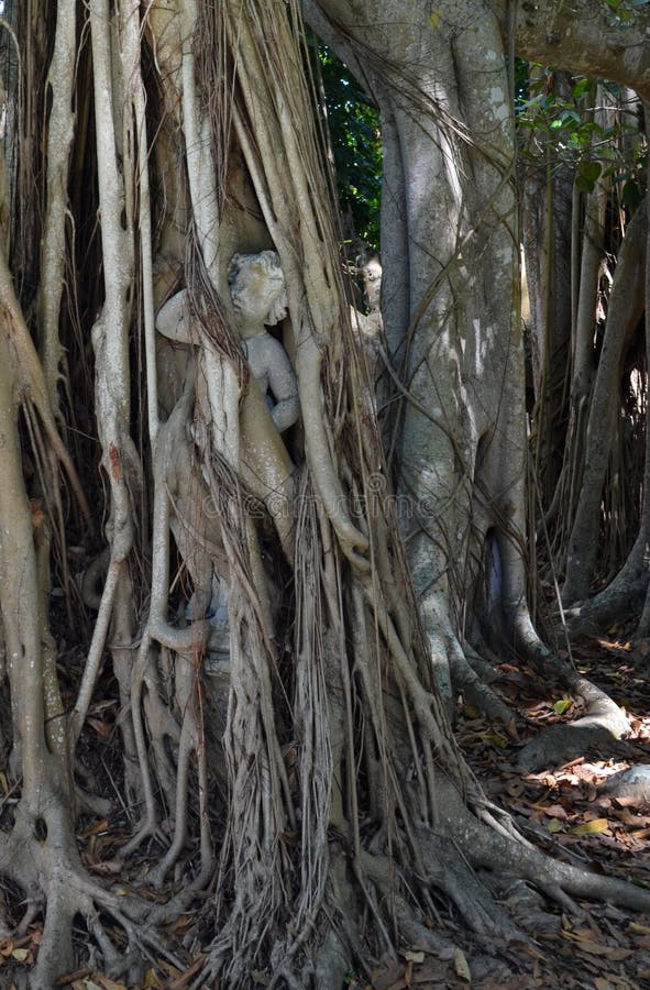 Cherub Held Captive stock photo. Image of tree, cherub - 51846286