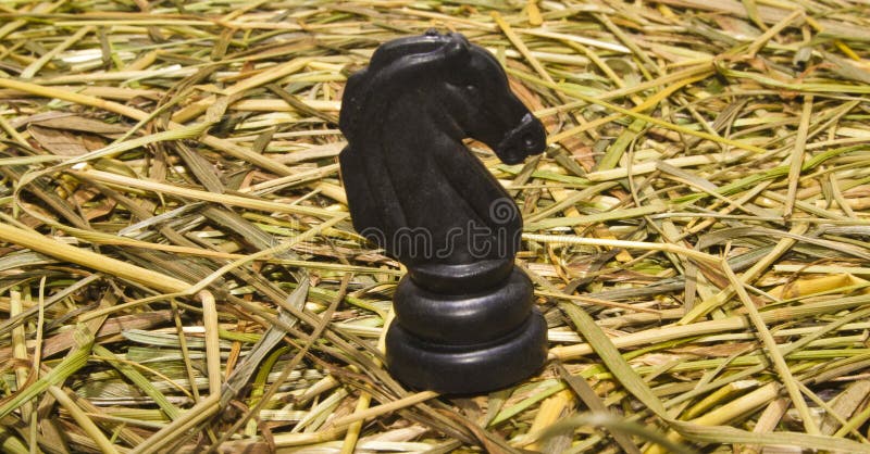 117 Chess Texture Grass Photos - Free & Royalty-Free Stock Photos from ...