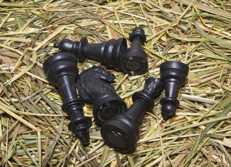 163 Chess Texture Grass Stock Photos - Free & Royalty-Free Stock Photos ...