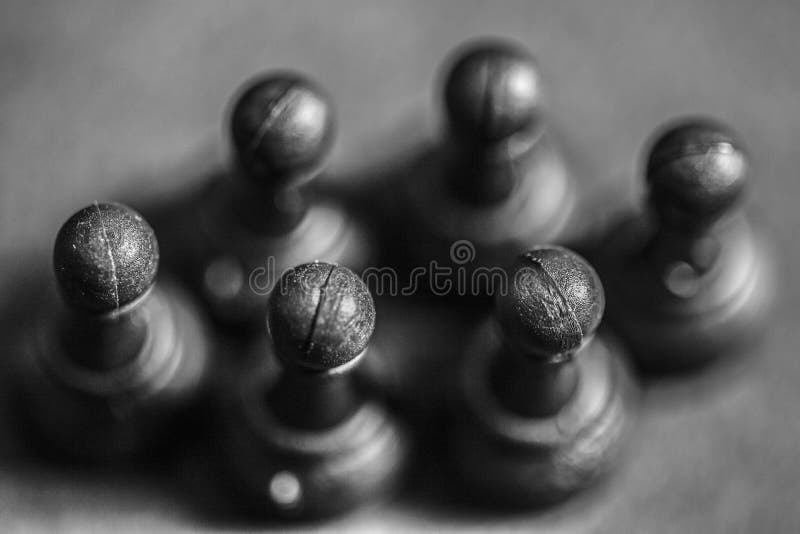 Black Pwans Stock Photos - Free & Royalty-Free Stock Photos from Dreamstime