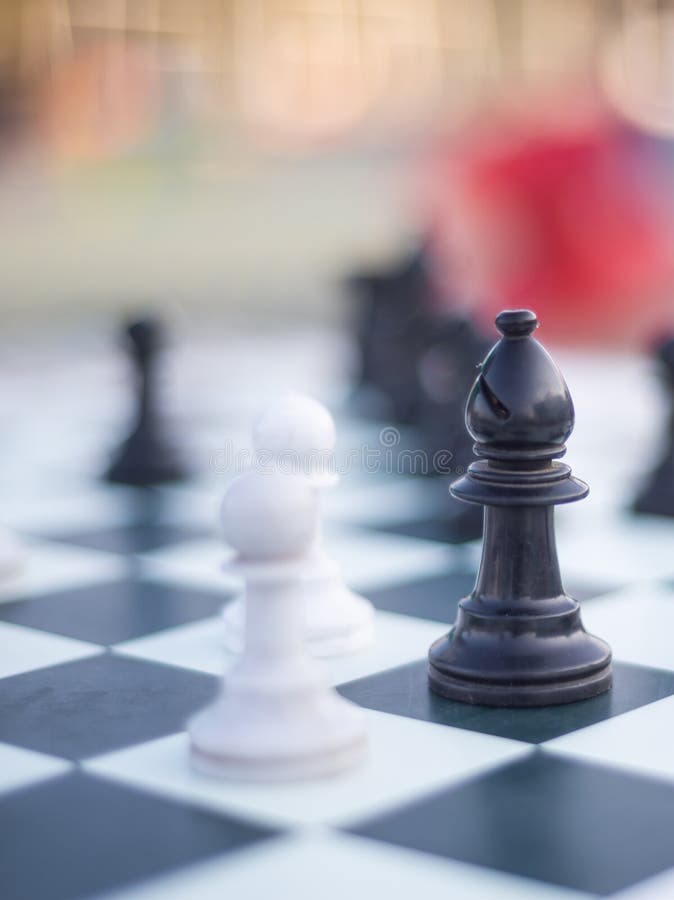 A Chess Board with Chess Pieces. Chess is an Interesting Board Logic ...