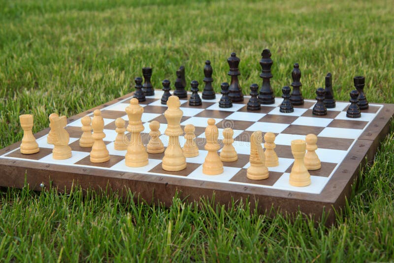 1,187 Chess Board Grass Stock Photos - Free & Royalty-Free Stock Photos ...