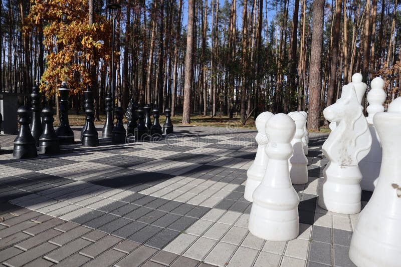 Chess Board in the Forest Park. Figures of Chess Stock Photo - Image of ...
