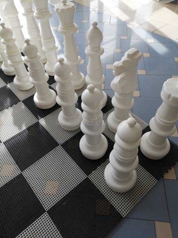 Chess. Board Game in Large Form. Educational Games Stock Image - Image ...