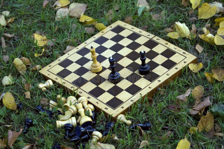 Golden Brown Knight Grass Stock Photos - Free & Royalty-Free Stock ...