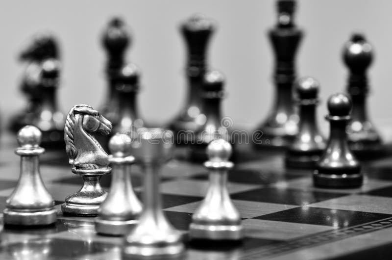 Chess Board with Knight Facing Opponent Stock Photo - Image of board ...