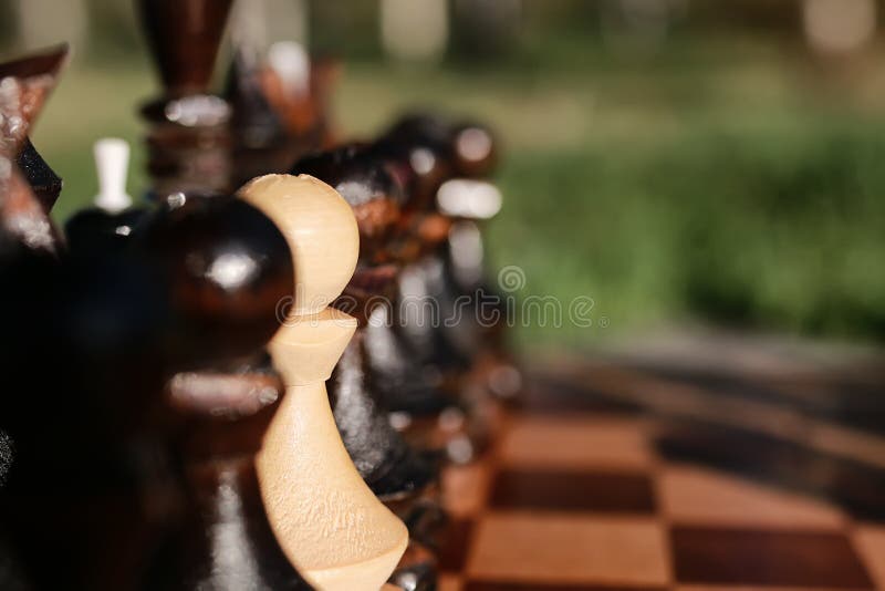 Chess on board one stock image. Image of battle, contest - 81846235