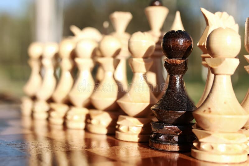Chess on board one stock photo. Image of black, grass - 82031950