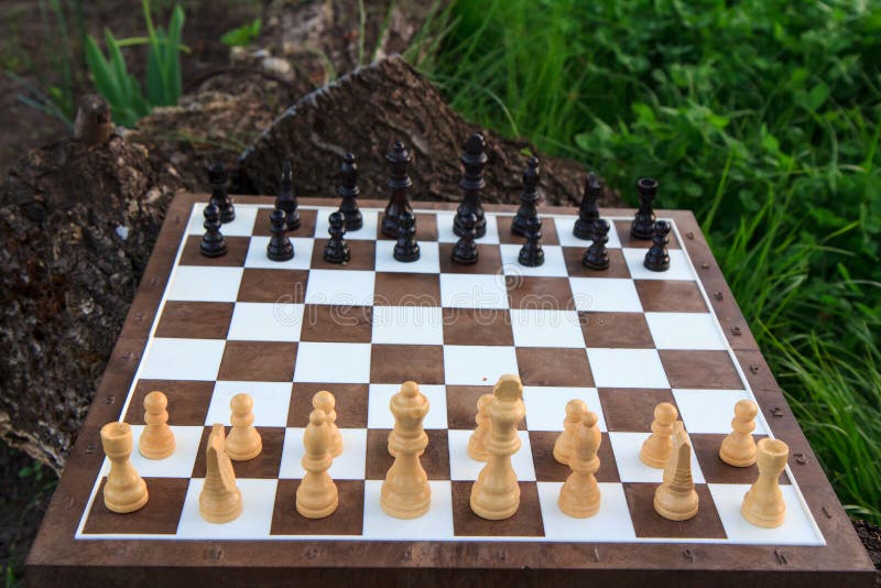 Chess Board with Chess Pieces on Tree Trunk and Green Grass Stock Image ...