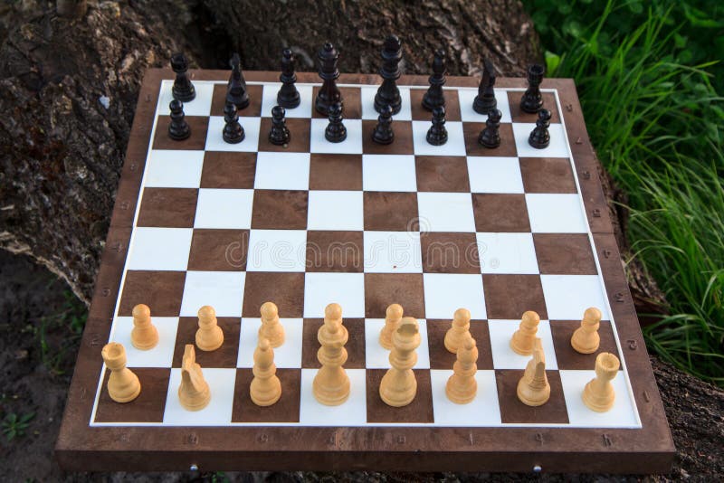 Chess Board with Chess Pieces on Tree Trunk and Green Grass Stock Photo ...