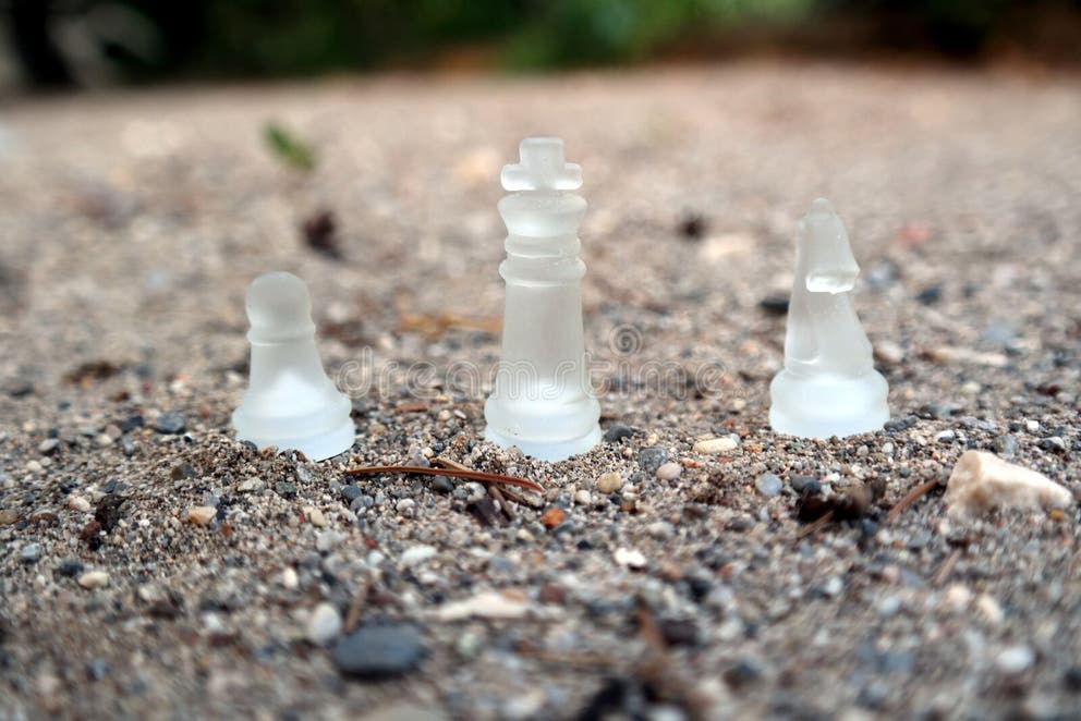 Chess champion stock image. Image of chess, sand, crystal - 57589259