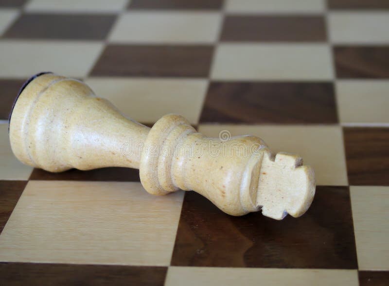 Spider Web stock image. Image of dewdrops, lace, fragility - 954721