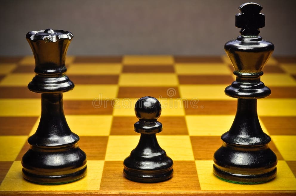 Chess family stock image. Image of shallow, plan, color - 13453859