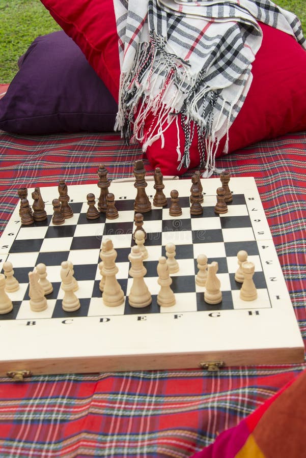 Chess Game stock photo. Image of spring, picnic, relax - 27008868