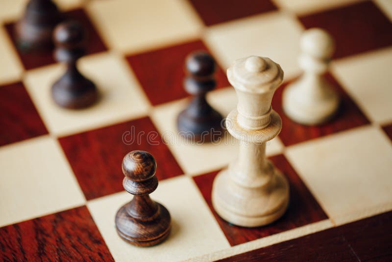 Wooden Chess Pieces Knights on the Chessboard Stock Image - Image of ...