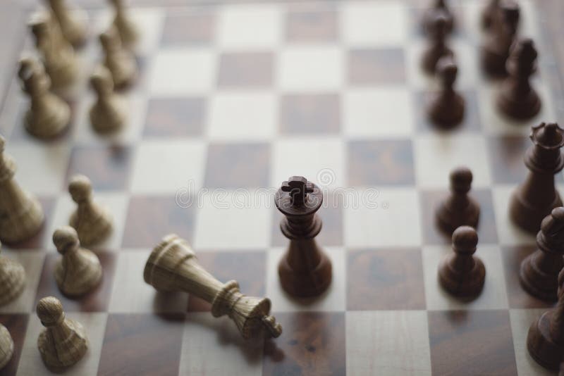 Chess Game Professional Stock Photography Stock Photo - Image of chess ...