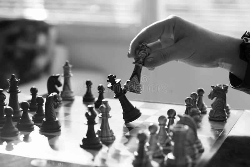Chess Game Professional Stock Photography Stock Image - Image of ...