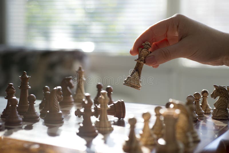 Chess Game Professional Stock Photography Stock Photo - Image of chess ...