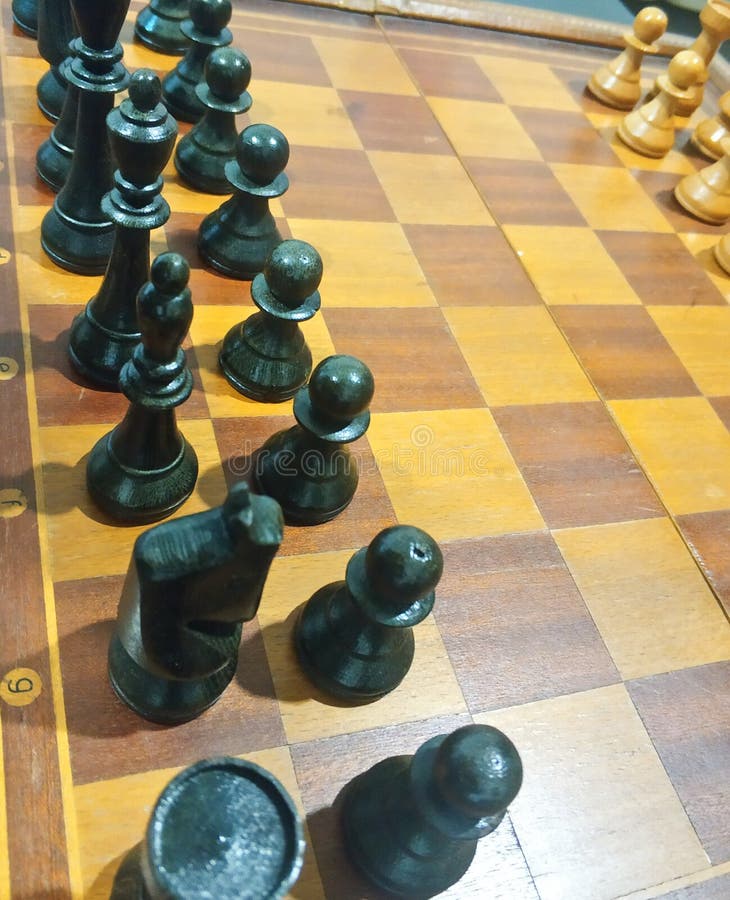 Chess Game Taking Place between 2 Person Stock Photo - Image of taking ...