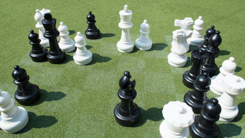 116 Large Chess Game Garden Grass Stock Photos - Free & Royalty-Free ...