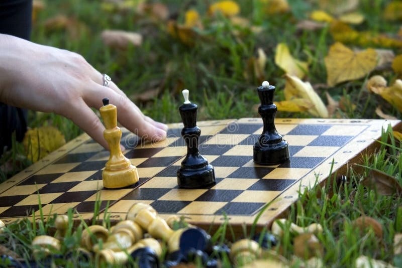Chess board on the grass stock photo. Image of leisure - 7143906
