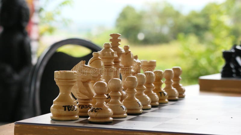 Chess Helps To Develop Your Mind and Talents Stock Image - Image of ...