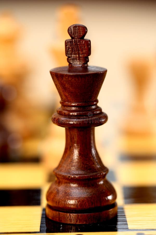 Chess king stock photo. Image of conquering, king, thinking - 21193528