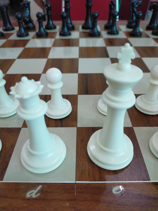 Chess Match profesional stock photo. Image of chess - 272869014