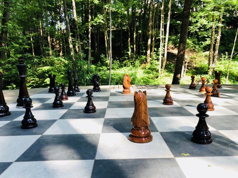 Chess of Nature stock photo. Image of nature, nextstep - 117588712