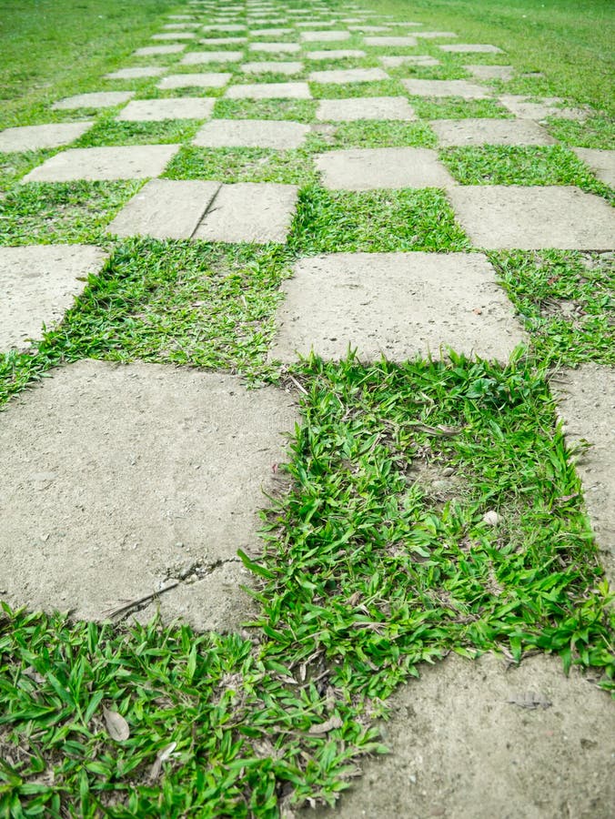 Chess pattern pathway stock photo. Image of cement, grass - 54530244