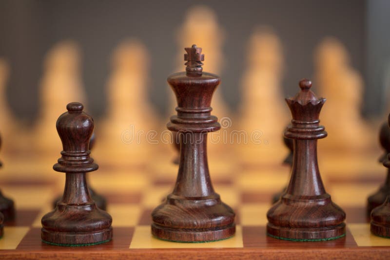 Chess pieces on board stock photo. Image of king, leisure - 245628958