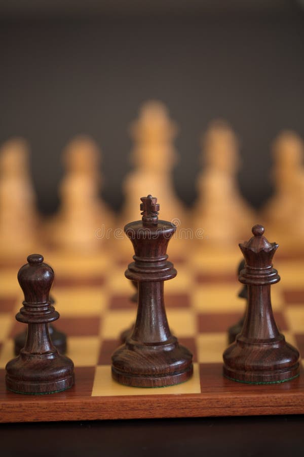 Chess pieces on board stock photo. Image of queen, wooden - 245628970