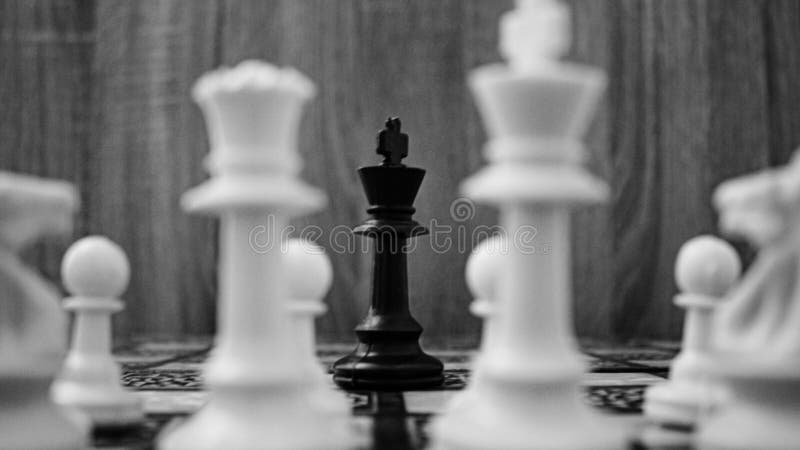 Strategy Chess Game stock photo. Image of wood, pieces - 269104134