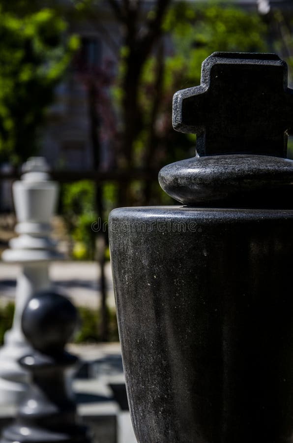 Chess pieces stock photo. Image of king, government, grass - 71570736