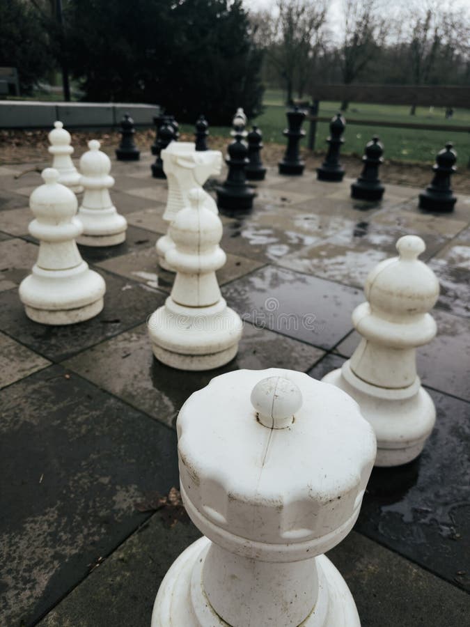 Chess Pieces on a Park Floor, Strategic Game Outdoors Stock Photo ...