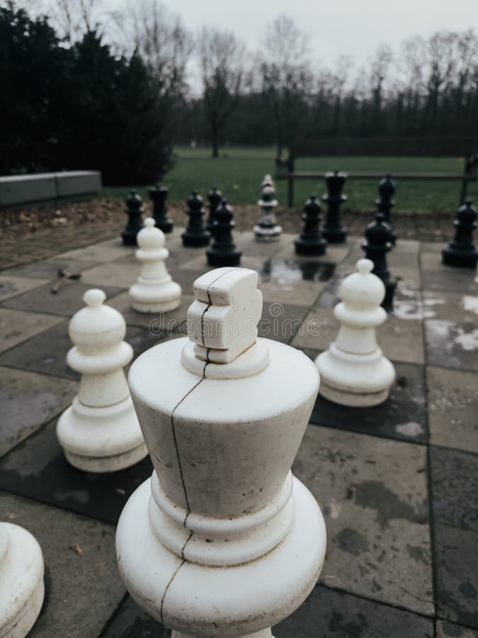 Chess Pieces on a Park Floor, Strategic Game Outdoors Stock Photo ...